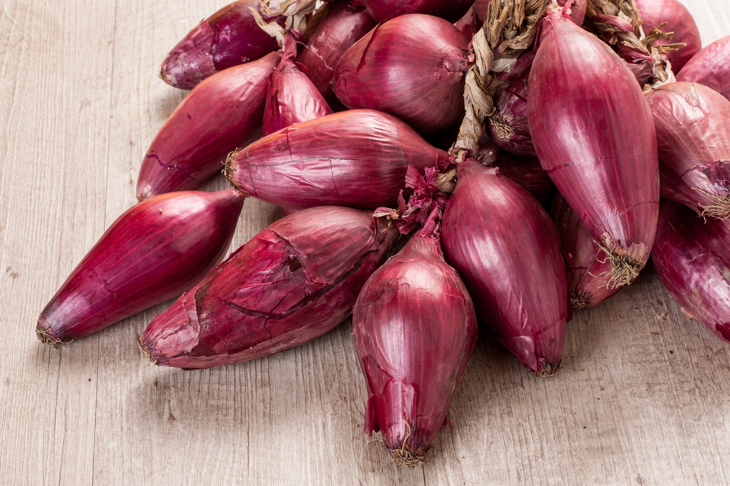 Red Torpedo Onion Seeds Italian Red Onions 300 Seeds // - Etsy