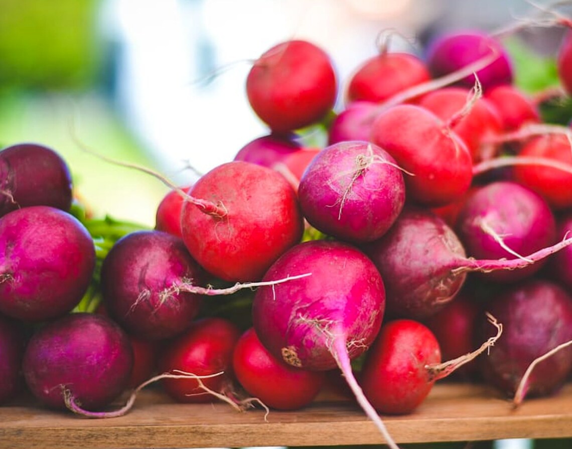 Purple Plum Radish Seeds 300 Seeds Purple Radishes // - Etsy