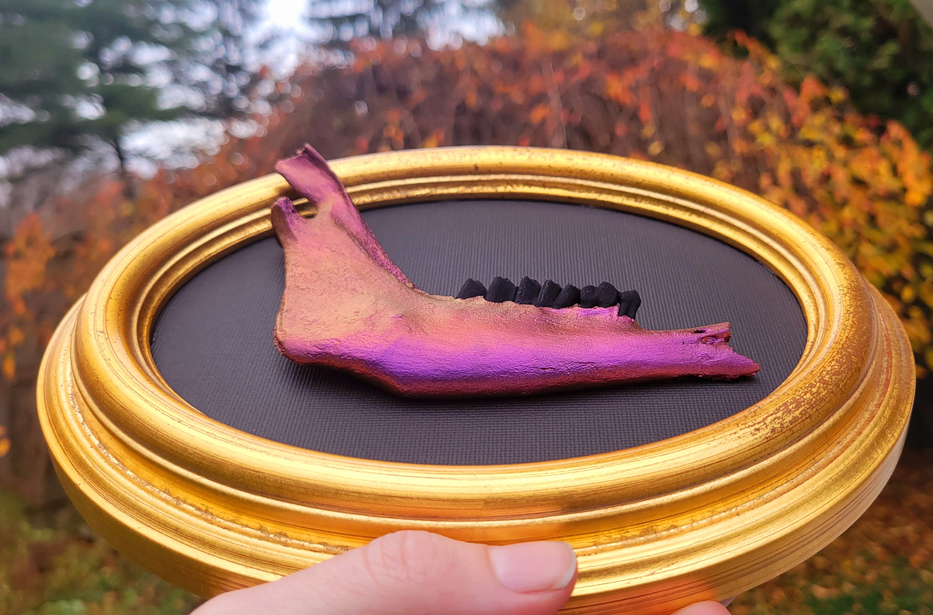 Deer Jaw Wall Art, Painted Jaw Art, Colorshift Wall Decor, Gothic Home ...