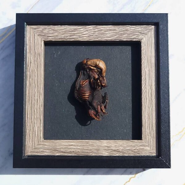 Mummified - Etsy