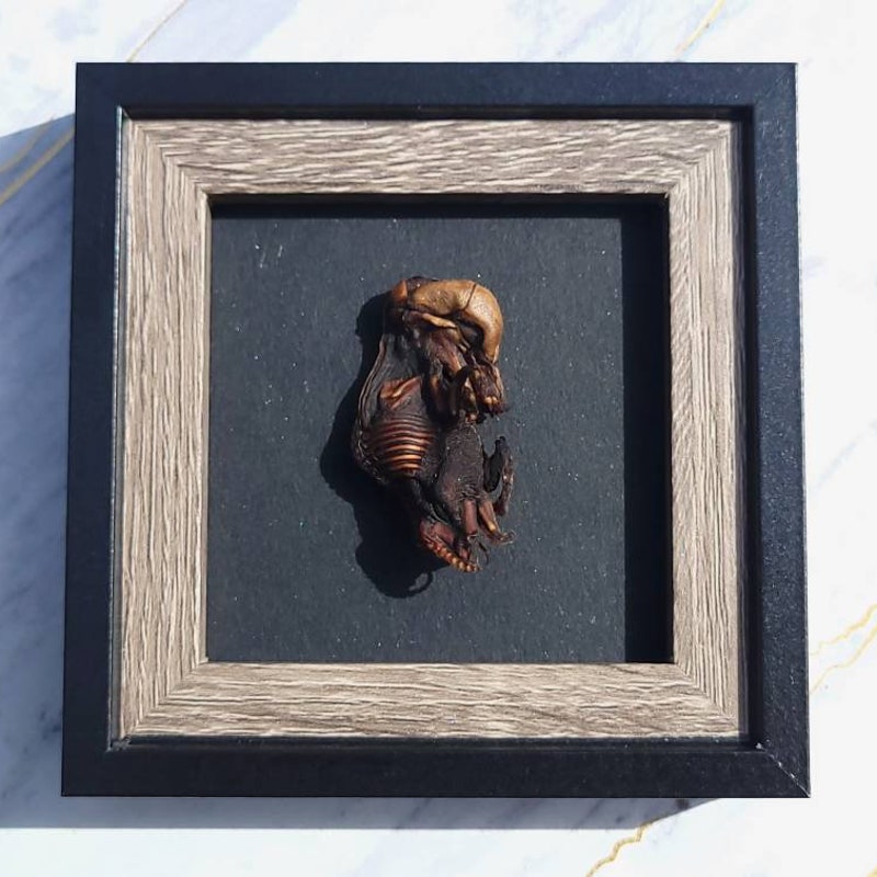 Mummified - Etsy