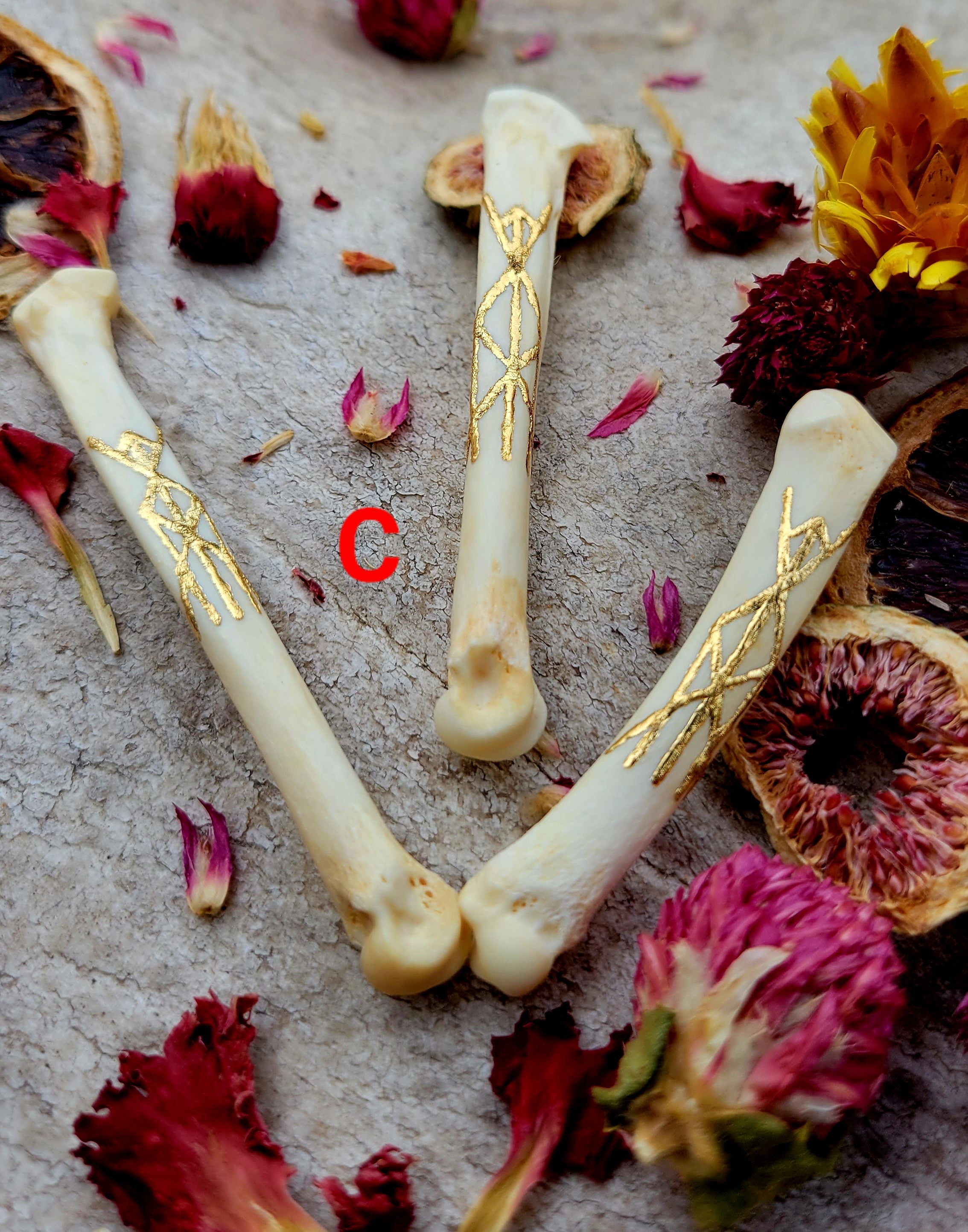 Bone Bind Rune Talismans Set, Bone Bind Runes, Coyote Bone Runes Set ...