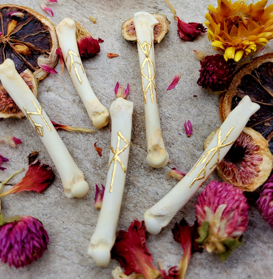 Bone Bind Rune Talismans Set, Bone Bind Runes, Coyote Bone Runes Set ...