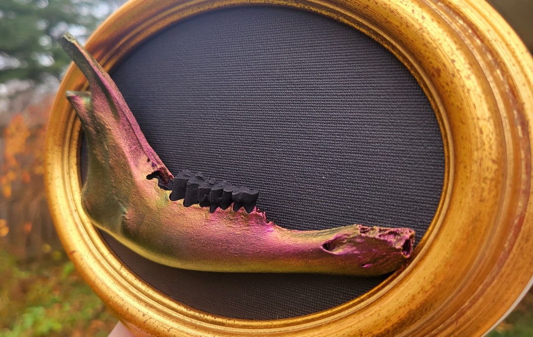 Deer Jaw Wall Art, Painted Jaw Art, Colorshift Wall Decor, Gothic Home ...