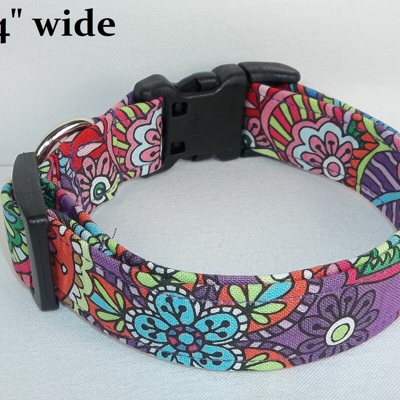 Fun Dog Collar - Etsy