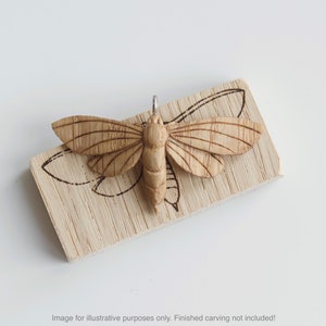 Moth Pendant Carving Kit - Etsy