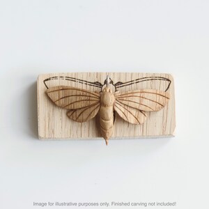 Moth Pendant Carving Kit | Etsy