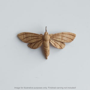 Moth Pendant Carving Kit | Etsy