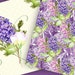 Watercolor LILAC FLOWER Digital Paper Pack, Bow, Lavender, Bouquets ...