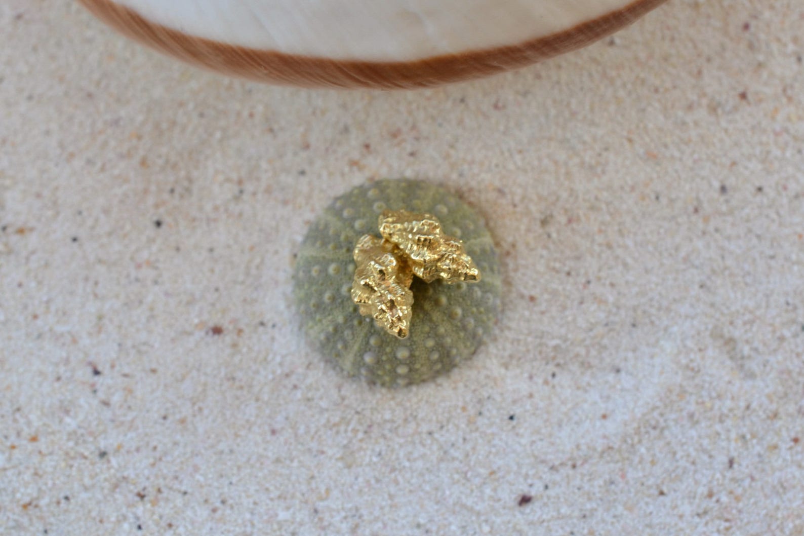 Conch Gold Earrings Solid 18K Gold Studs Mom Gold Earrings - Etsy