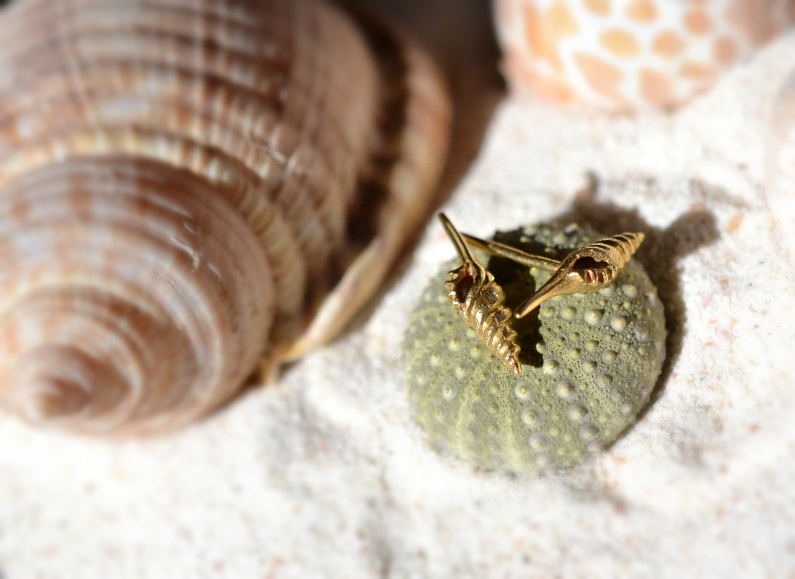 Conch Gold Earrings Solid 18k Gold Earrings Gold Wife Studs | Etsy