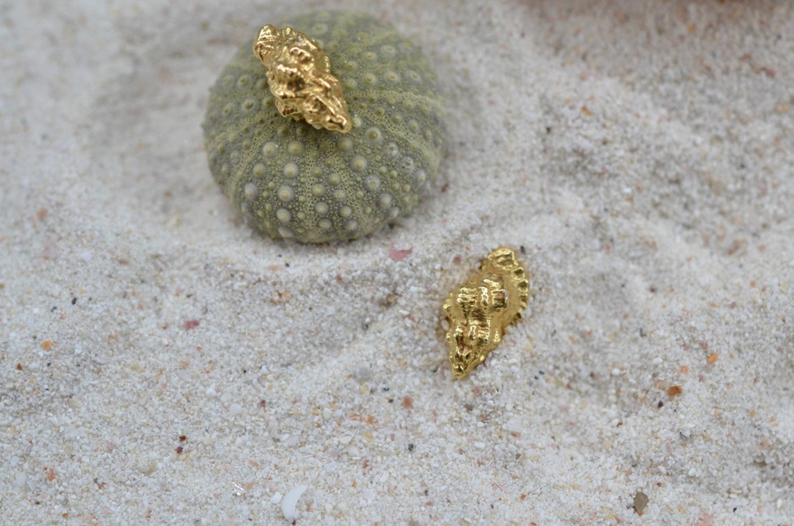Conch Gold Earrings Solid 18K Gold Studs Mom Gold Earrings - Etsy