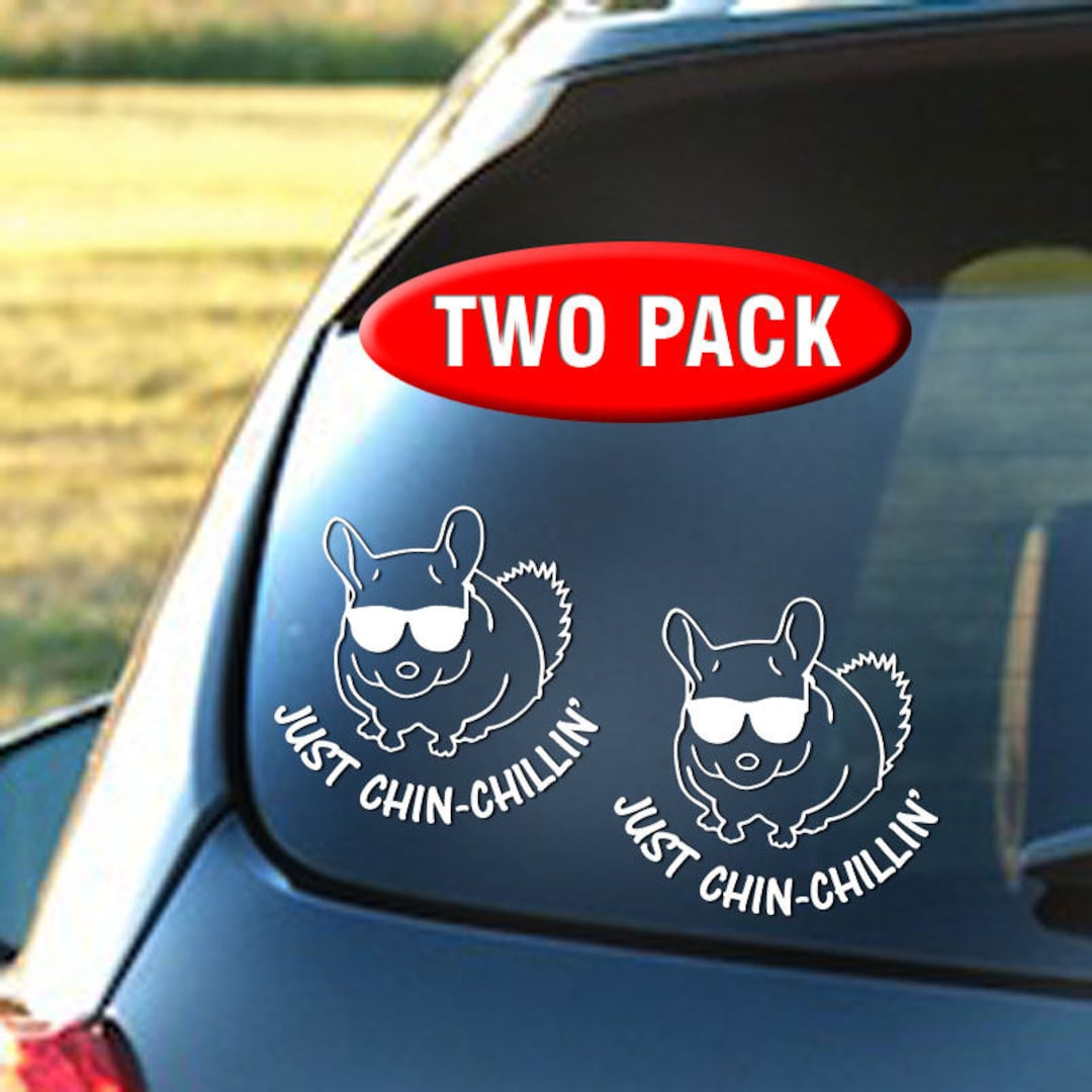 Just Chin-chillin' - 2 Pack - Vinyl Chinchilla Decals for Cool Pet ...