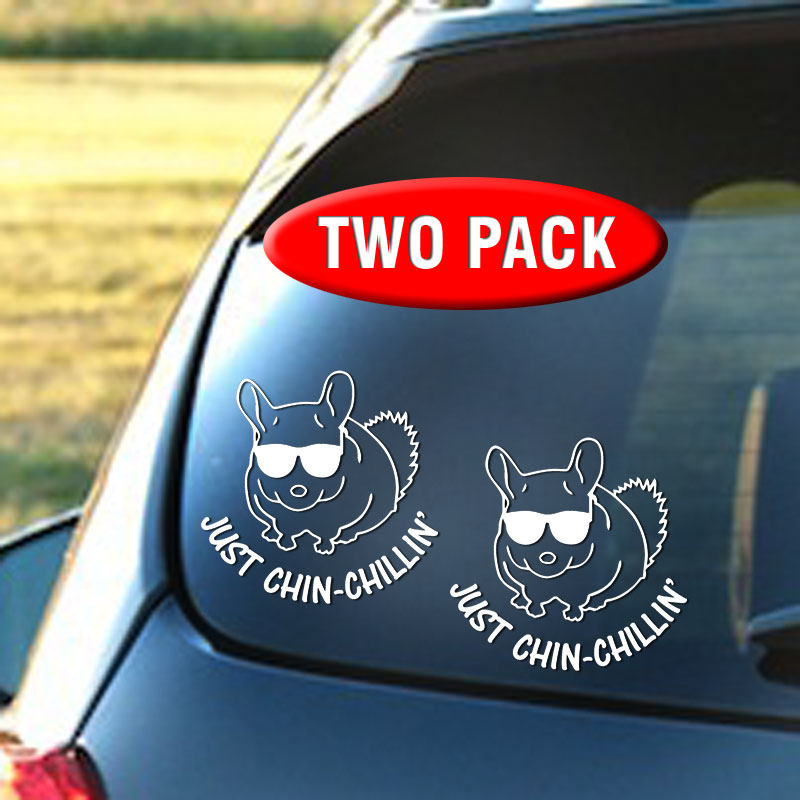 Just Chin-chillin' 2 Pack Vinyl Chinchilla Decals for - Etsy