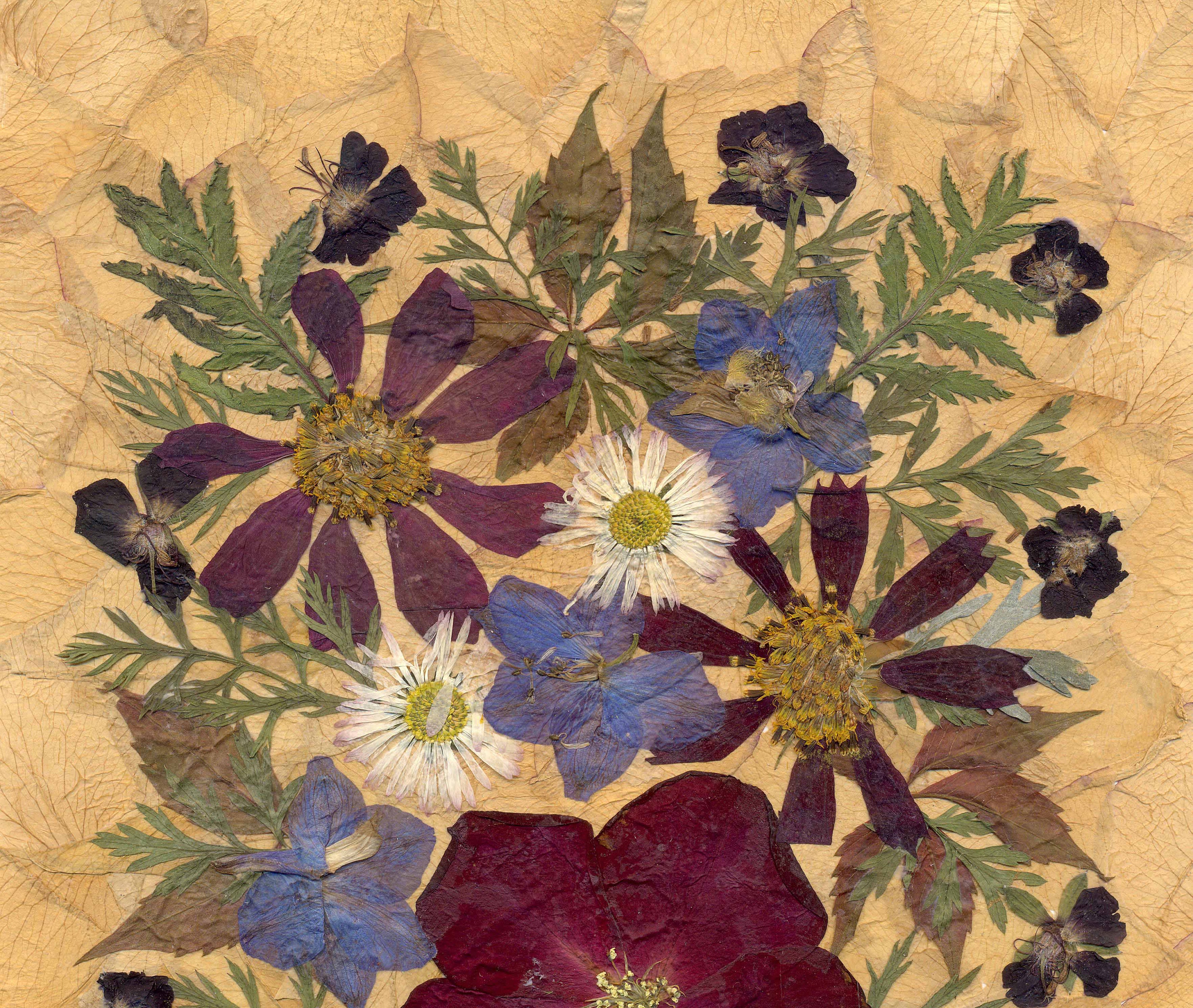 Pressed Rose Dried Flowers Art Floral Wall Decor Framed - Etsy