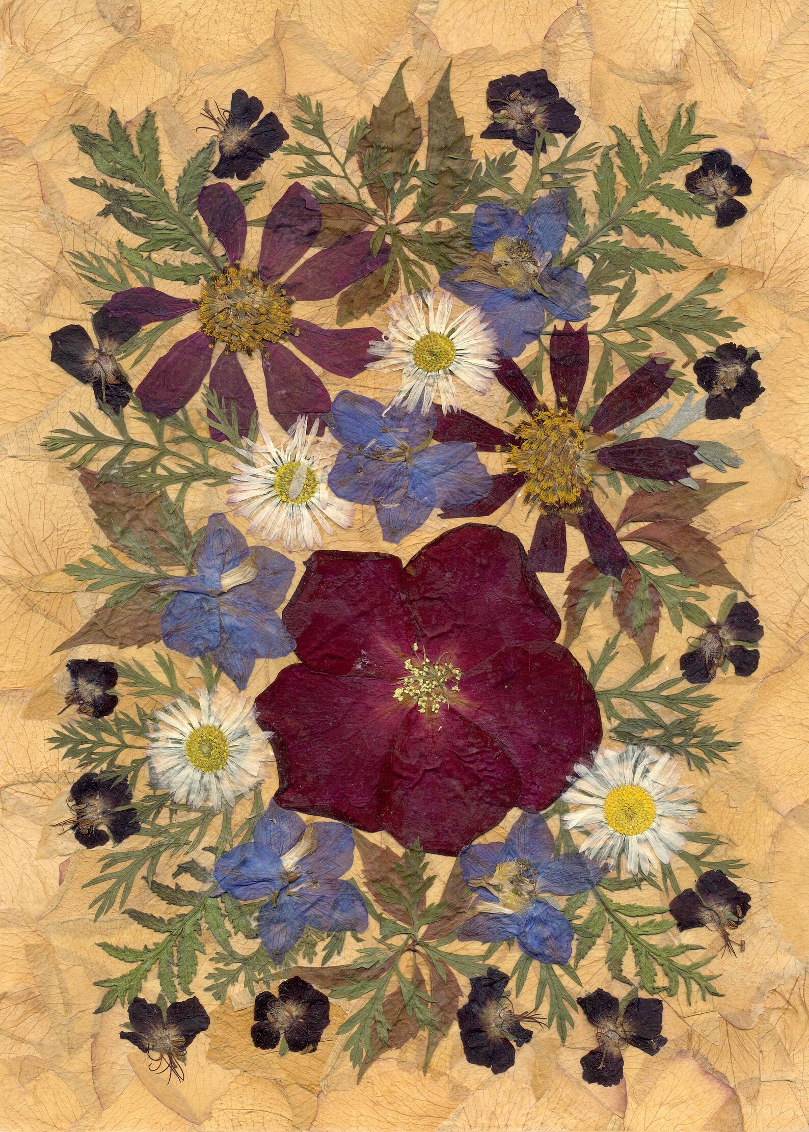 Pressed Rose Dried Flowers Art Floral Wall Decor Framed - Etsy