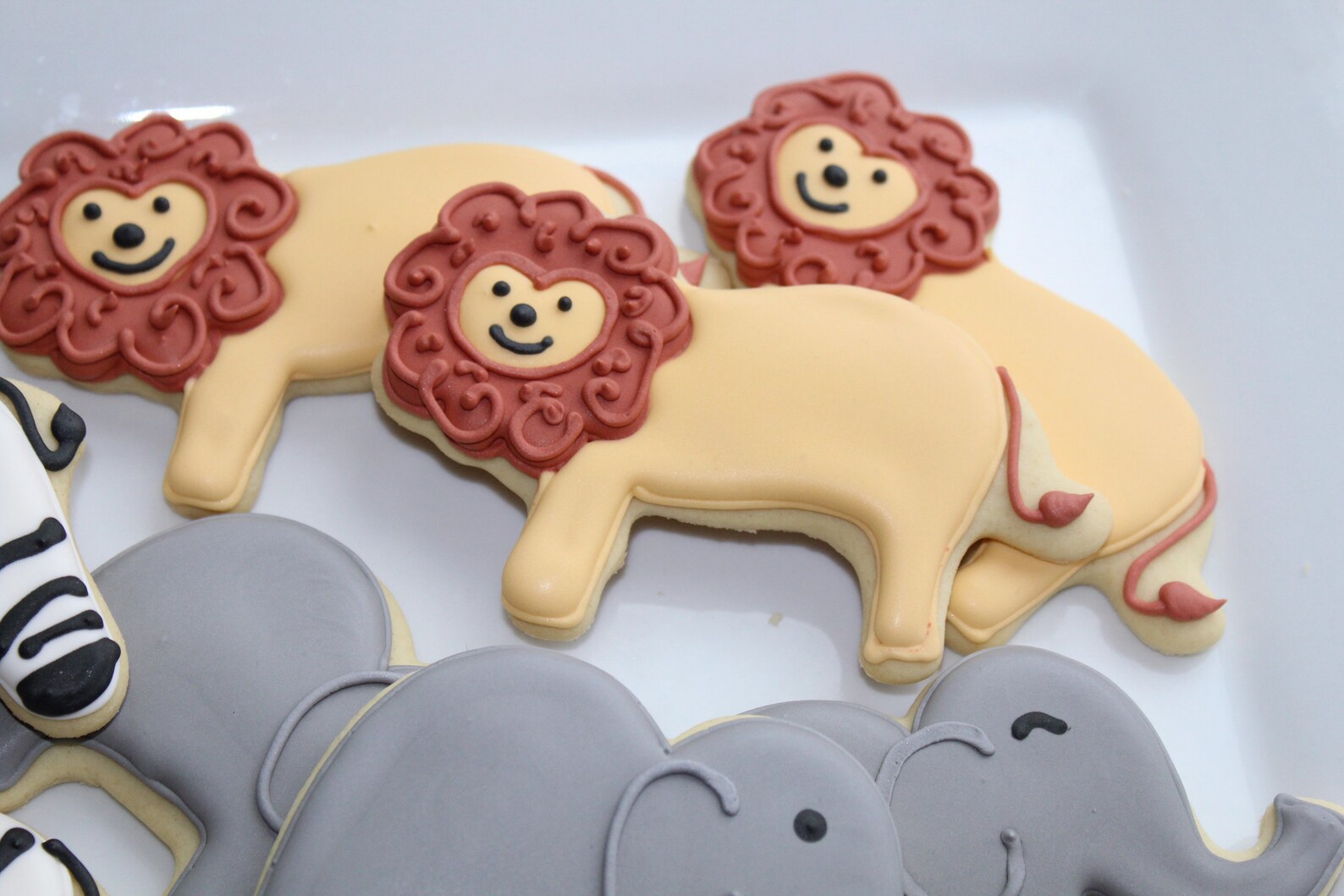 LION Decorated Cookies Animal Themed Birthday Cookies | Etsy