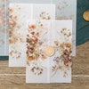 VELLUM Wedding Invitation Jacket, Modern Translucent Card Wrap, 5x7 ...