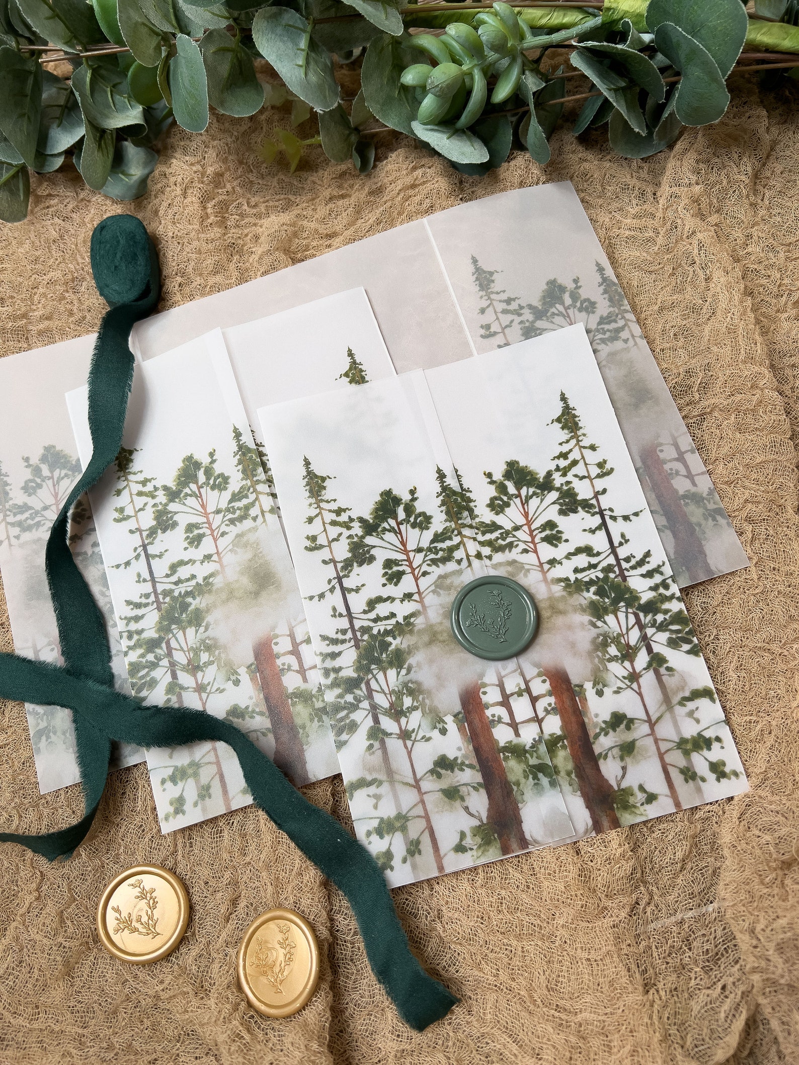 Watercolor Forest Vellum Wedding Invitation Jacket: Rustic Pine Tree ...
