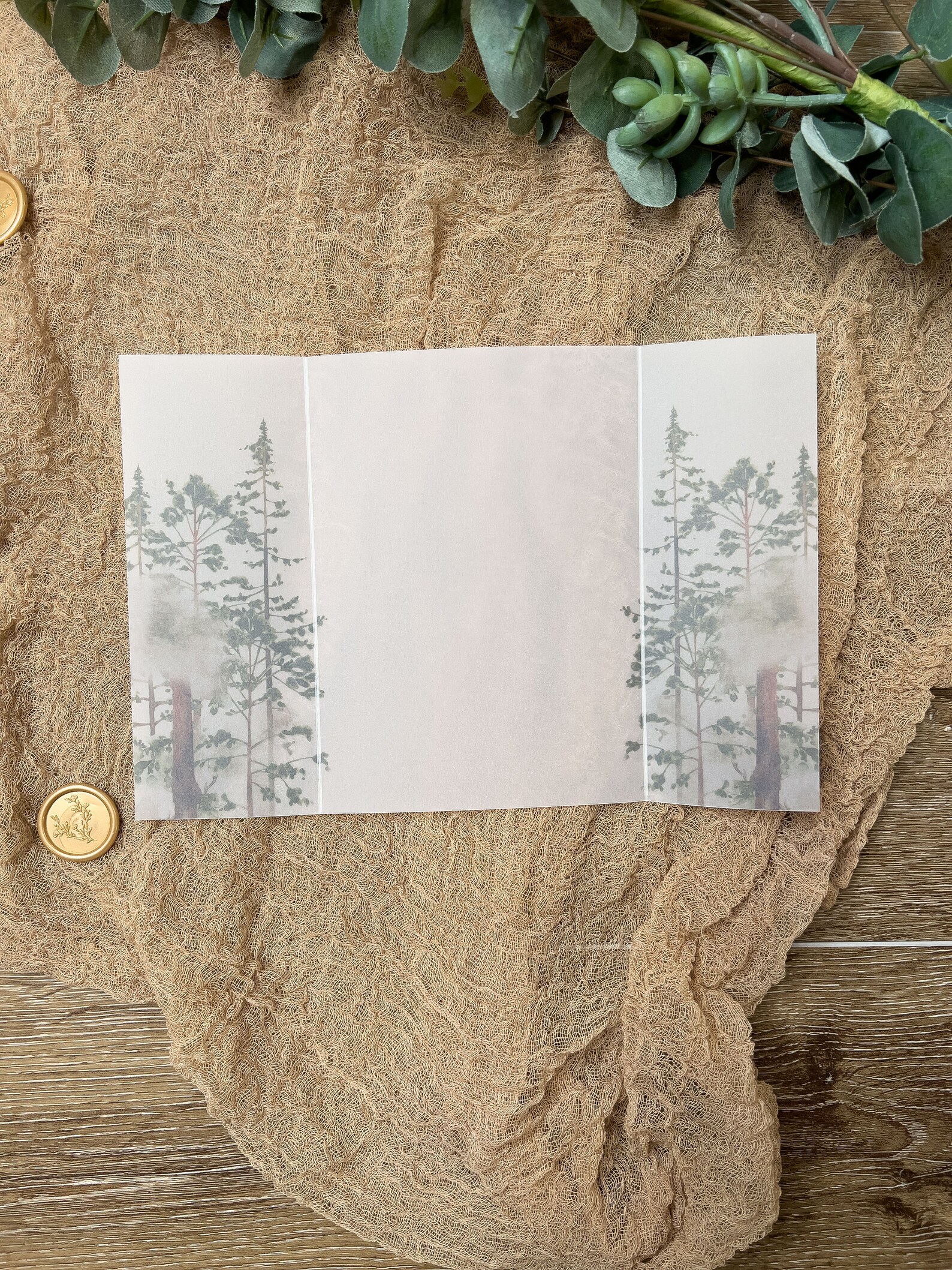 Watercolor Forest Vellum Wedding Invitation Jacket: Rustic Pine Tree ...