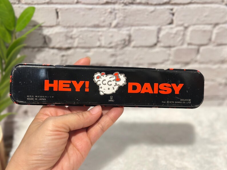 Rare Sanrio Peek-a-boo Hey Daisy Pencil Case 1970s Made in Japan Daisy ...