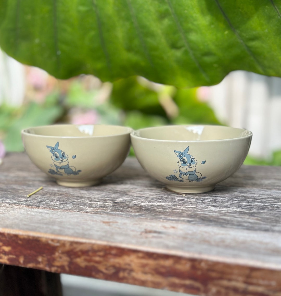 Miss Bunny Thumper 's Girlfriend Rice Soup Bowl Set of 2 - Etsy