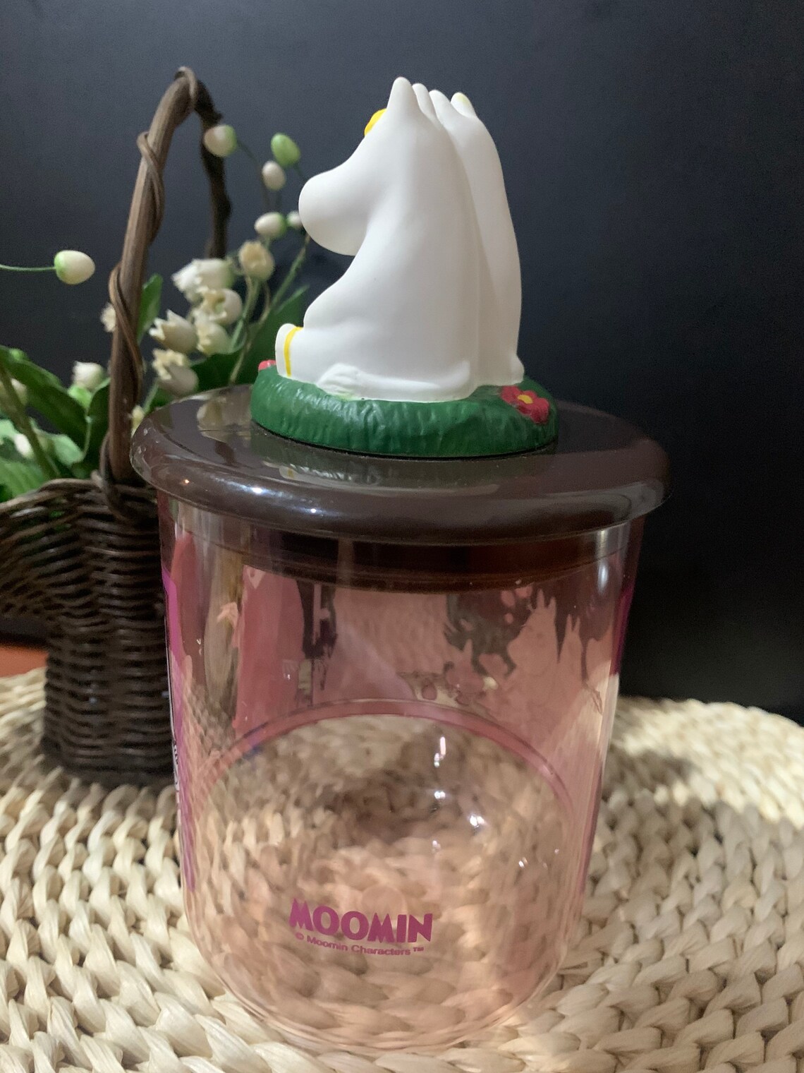 The Story of Moomin Valley Plastic Jar With Lid - Etsy