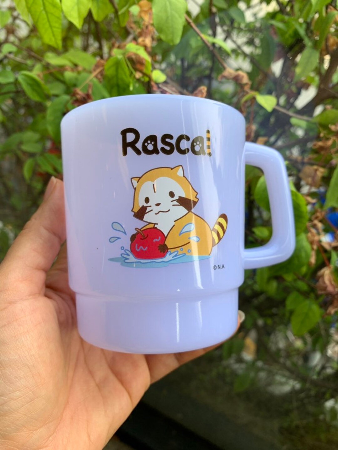 Rascal the Raccoon Plastic Mug - Etsy