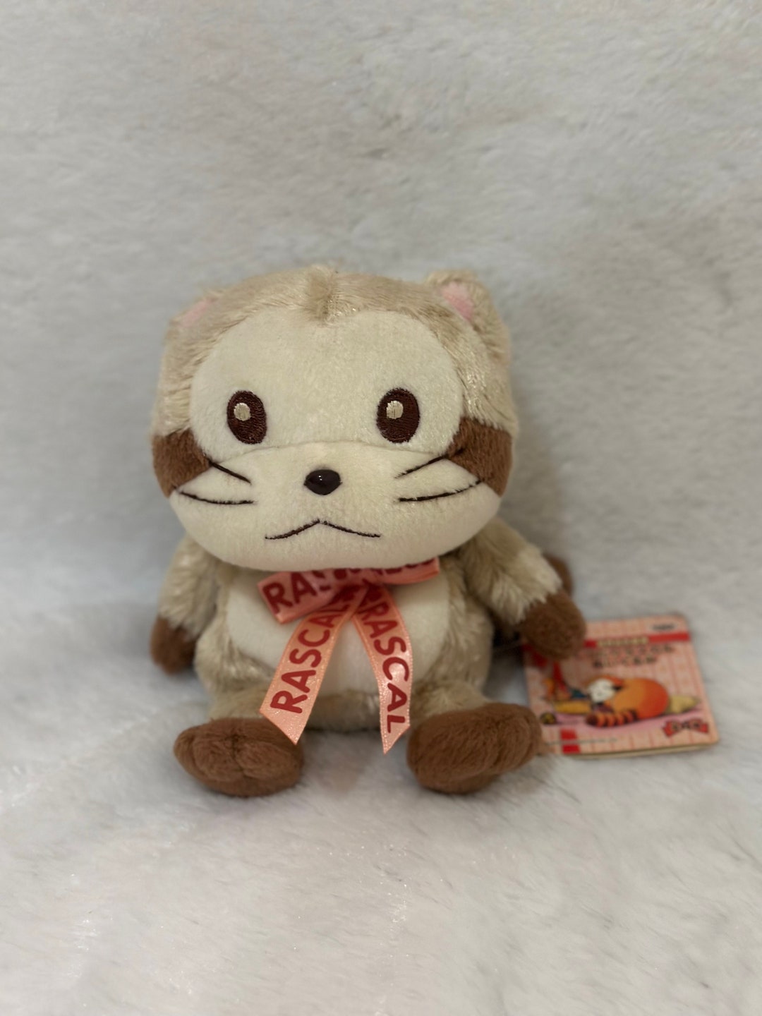 2004 Rascal the Raccoon Plushie - Etsy