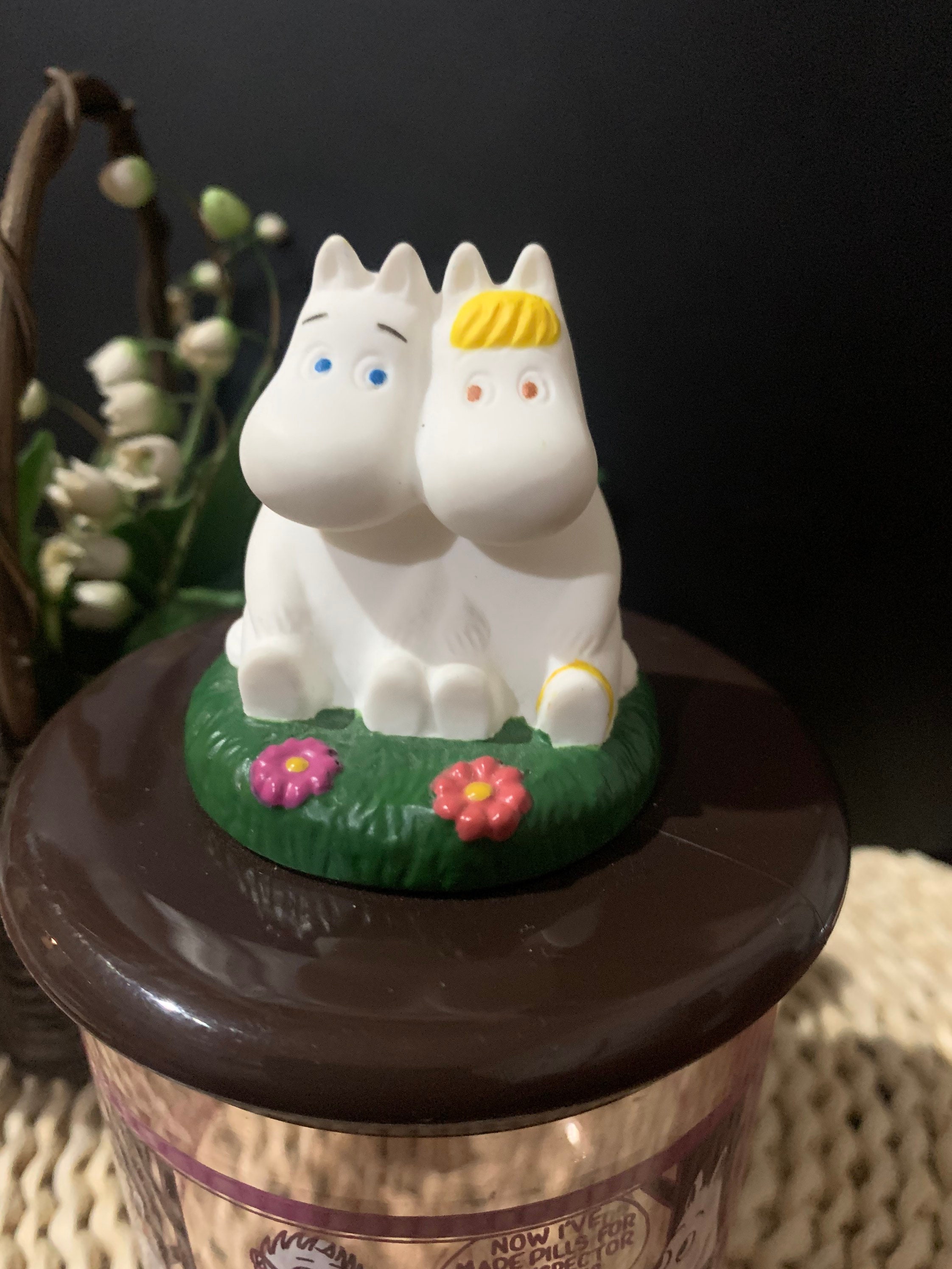 The Story of Moomin Valley Plastic Jar With Lid - Etsy