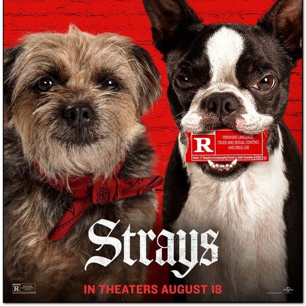 Will Ferrell Movie Posters - Etsy