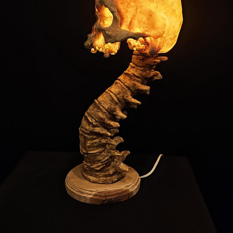 Skull Lamp - Etsy