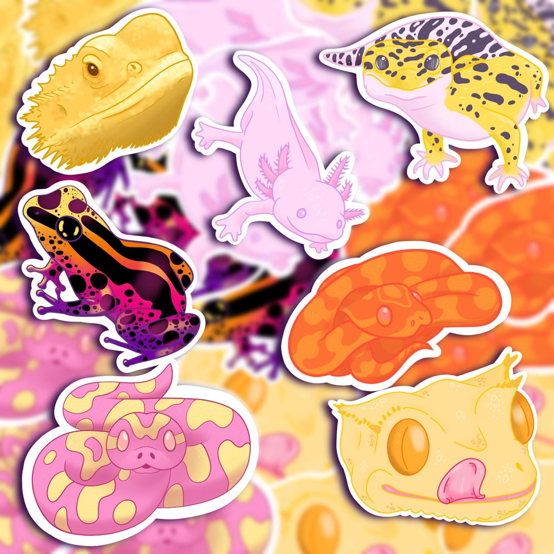 Reptile and Amphibian Sticker Bundle Sticker Pack, Cute Stickers, Gecko ...