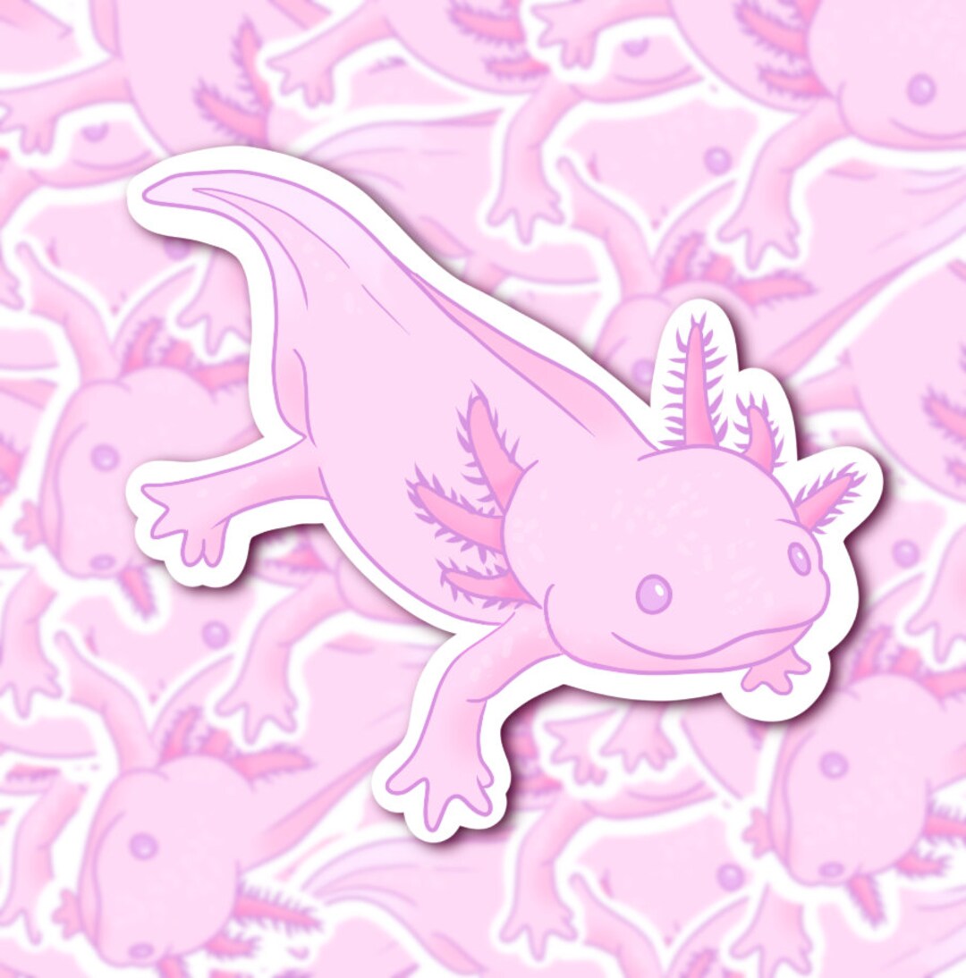 Cute Axolotl Sticker | Amphibians, Cute Stickers, Laptop Decals ...