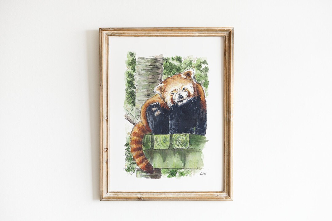 Red Panda Cute Head Scratch Art Print | Animal Decor, Watercolour Animals, Animal Painting, Red ...