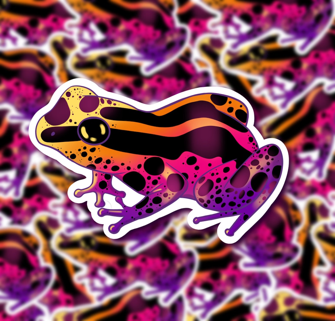 Rainbow Poison Dart Frog | Amphibians, Cute Stickers, Laptop Decals ...