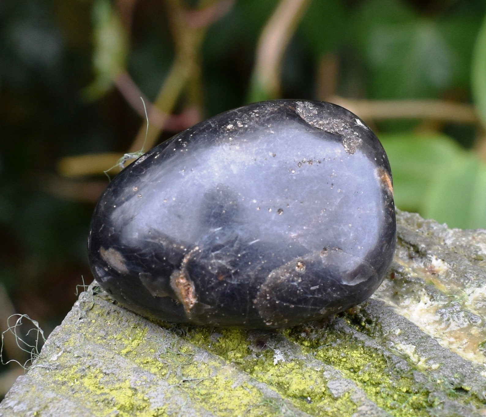 Black Onyx Crystal Gemstone Tumble Stone Natural Gift (beautifully Gift ...