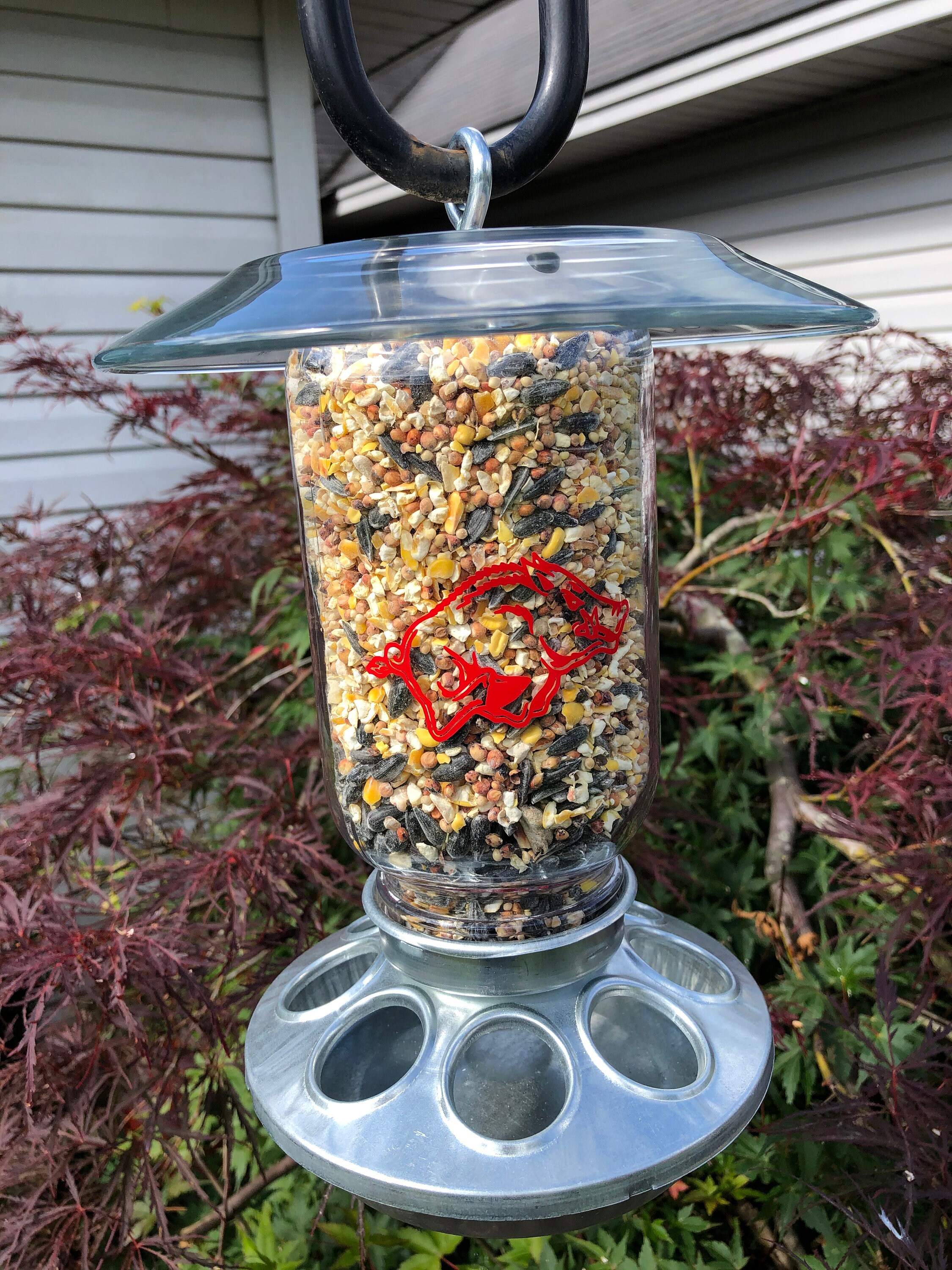 Arkansas Razorbacks Wild Bird Feeder - Etsy