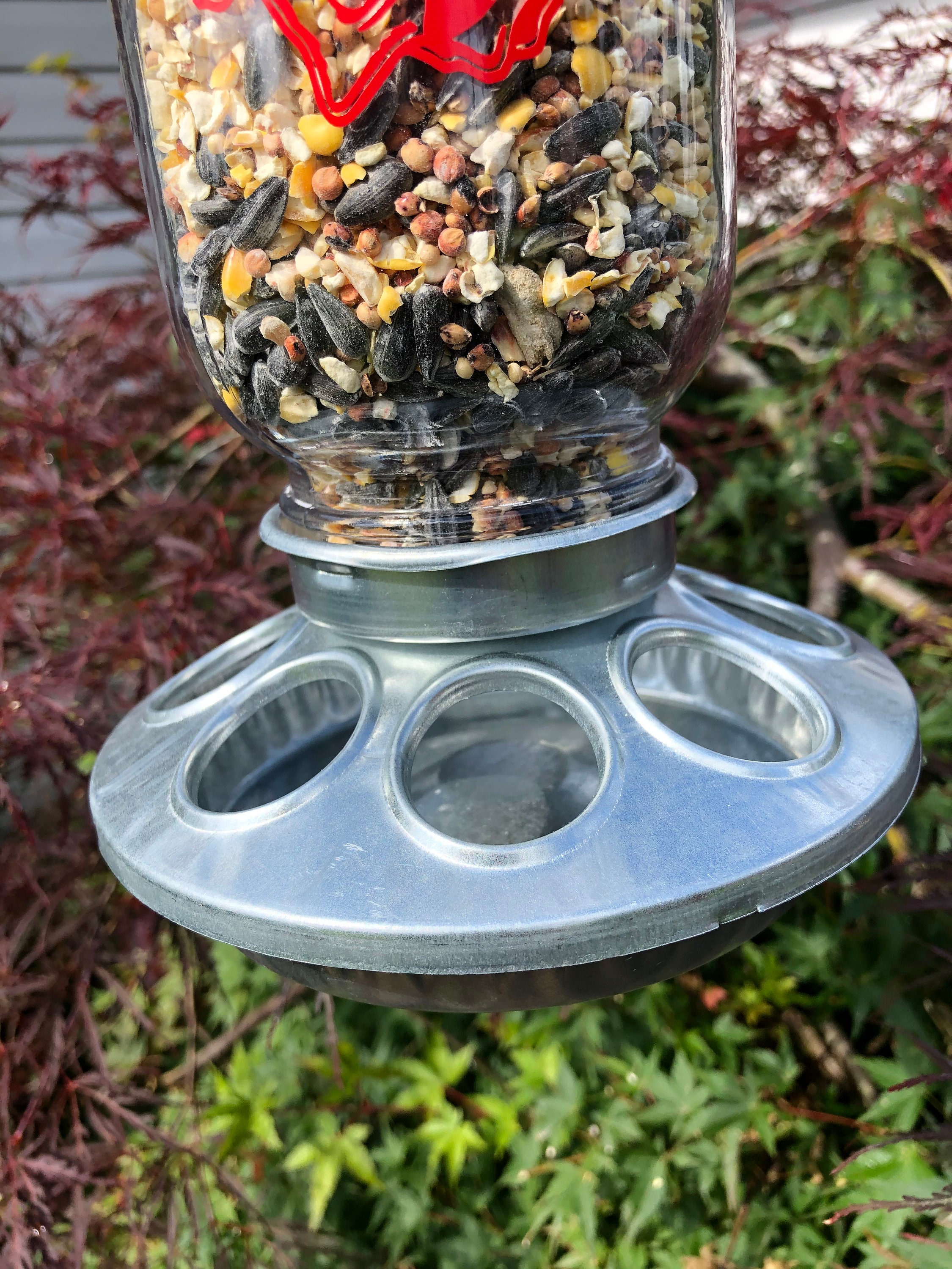 Arkansas Razorbacks Wild Bird Feeder - Etsy