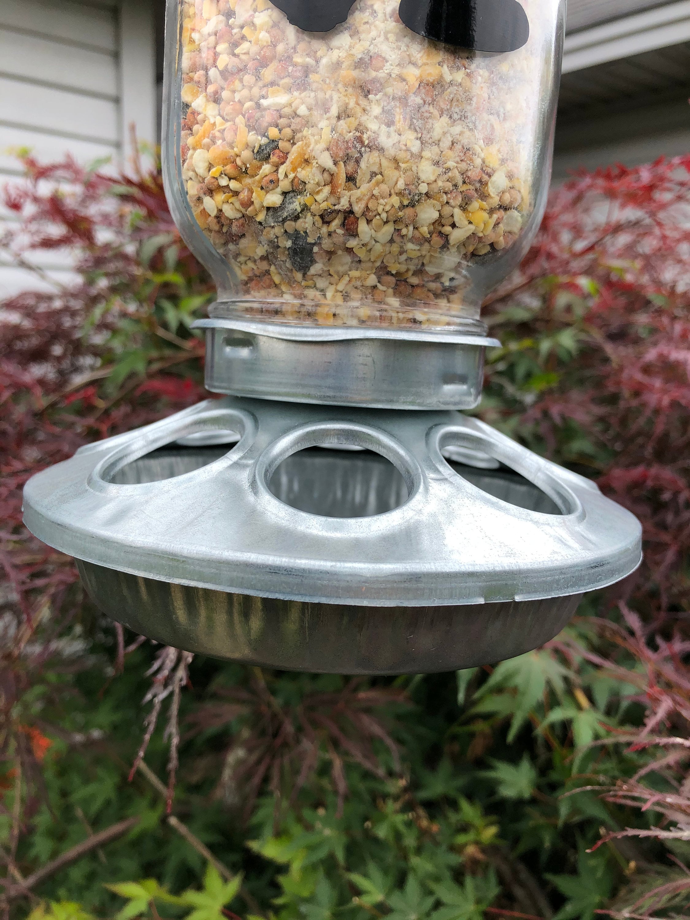 Mickey and Minnie Mouse Wild Bird Feeder - Etsy