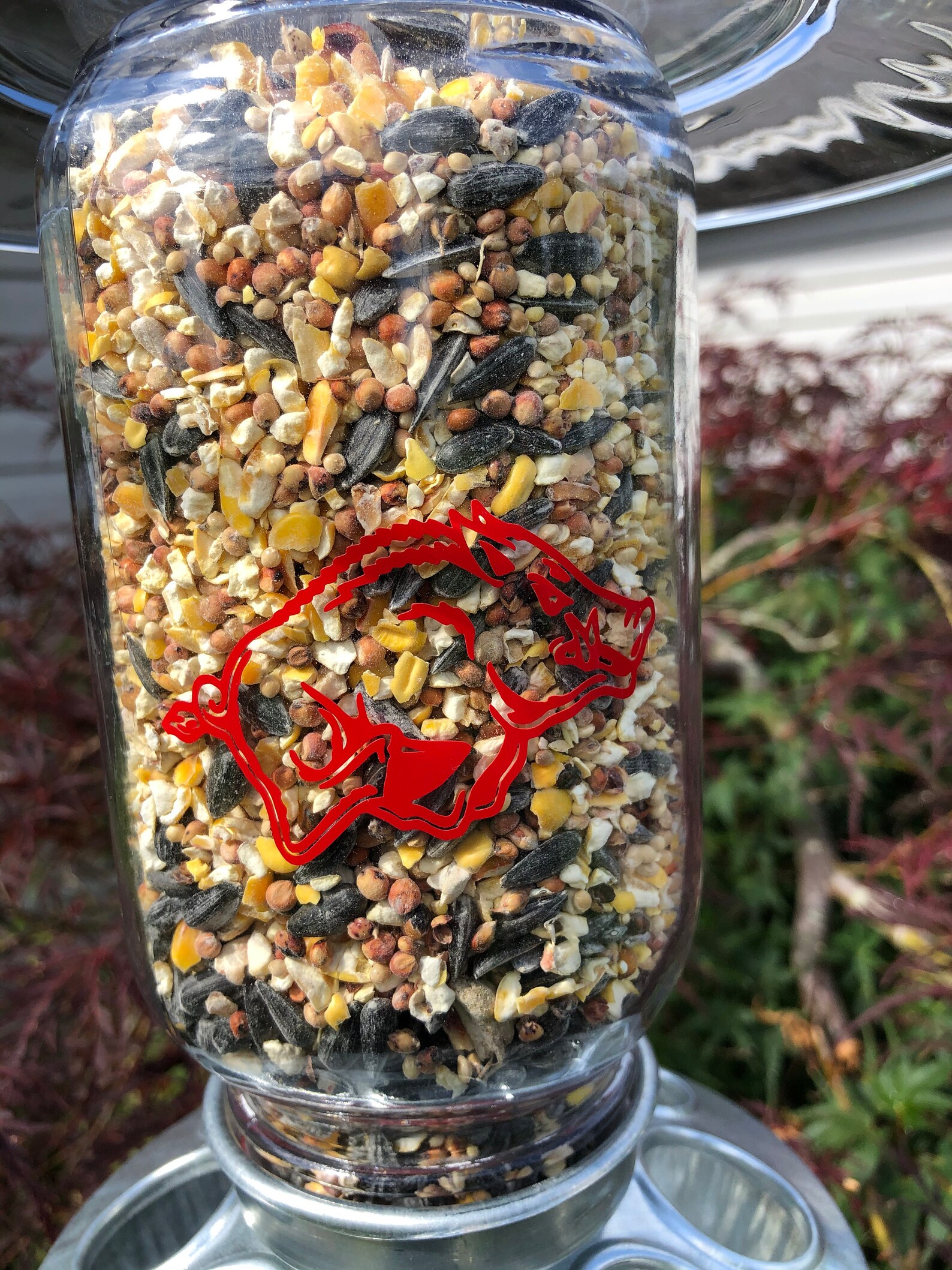 Arkansas Razorbacks Wild Bird Feeder - Etsy