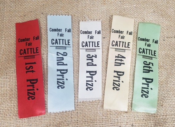 Set of 5 Vintage Comber Fall County Fair Winners Ribbons 1930s | Etsy