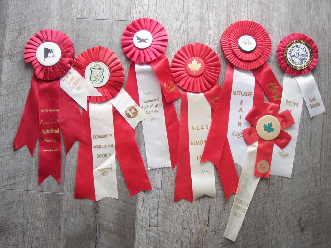 Set of 7 Vintage Red County Fair Horse Show Award Ribbons - Etsy