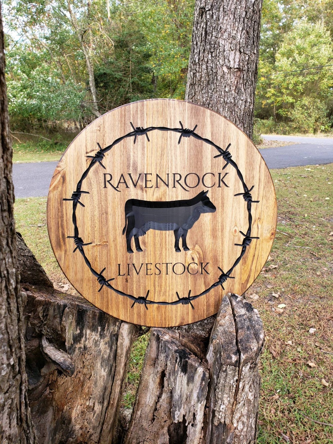 Wood Signs, Round Wooden Sign, Personalized Sign, Family Name Sign ...