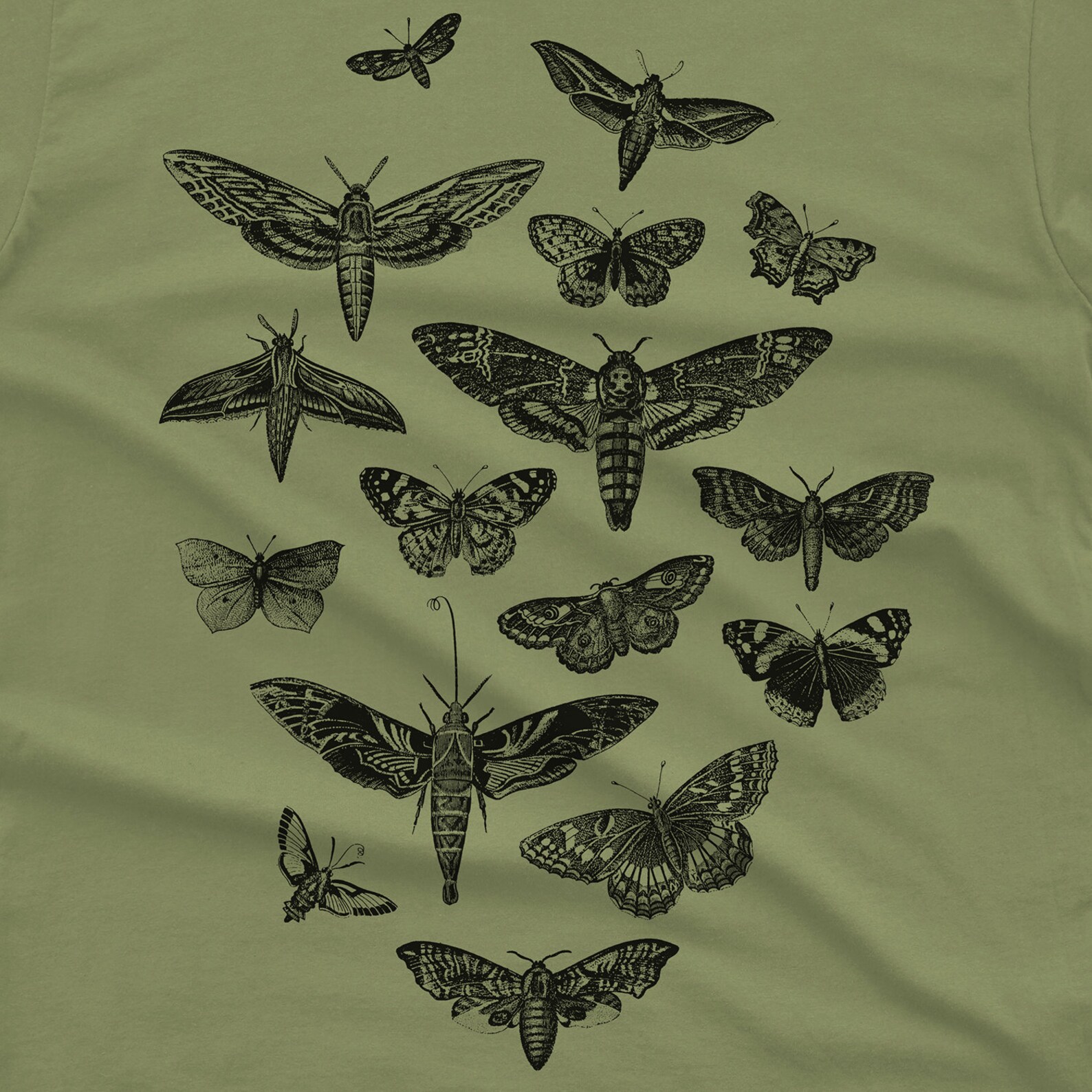 Moth Shirt Unisex Insect Tshirt Moths and Butterflies | Etsy