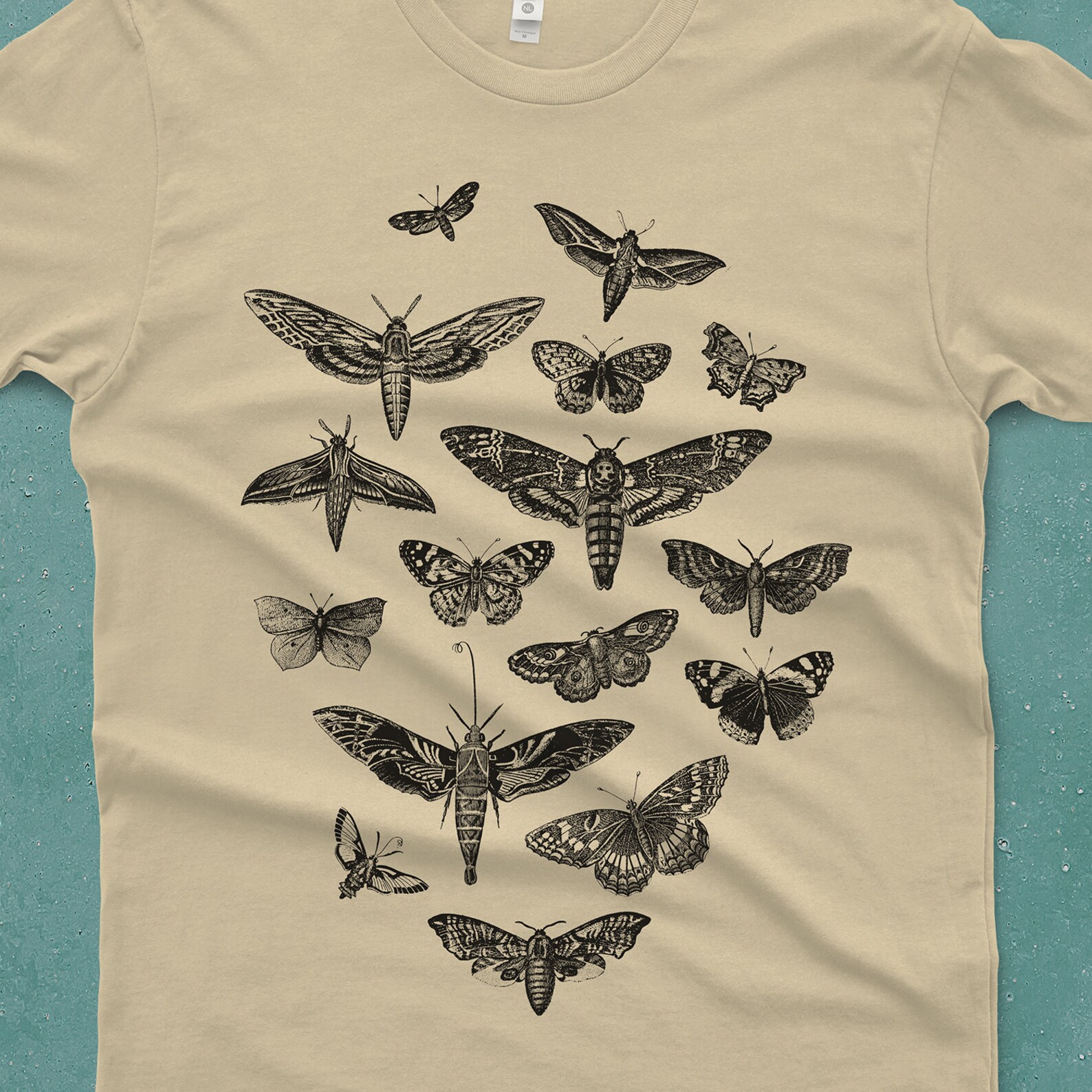 Moth Shirt Unisex Insect Tshirt Moths and Butterflies | Etsy