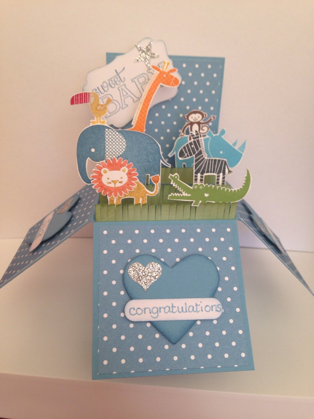 Baby Birth Pop up Card in a Box (personalised), Zoo Animals, Elephant ...