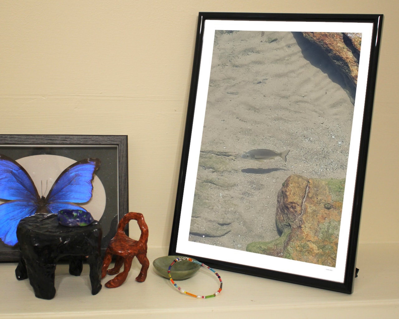 Manly Beach Fish in Clear Water Photo Digital Download Art Print Gifts ...