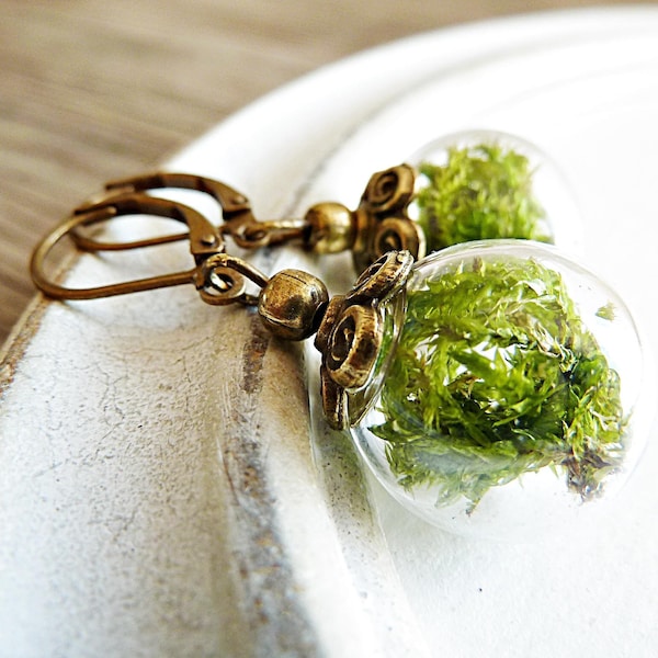 Green Moss Ball - Etsy