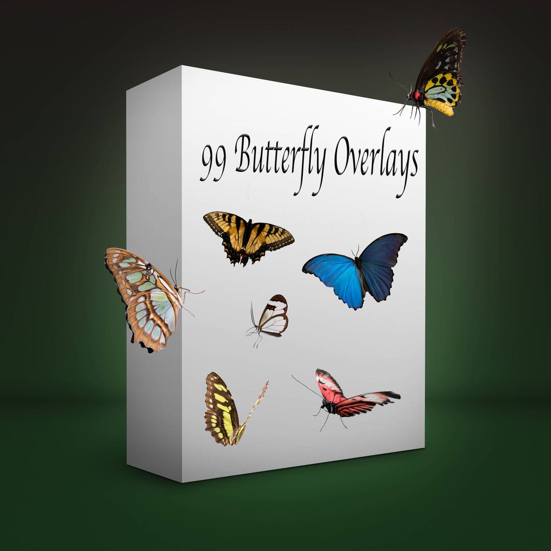 99 Butterfly PNG Files - Etsy